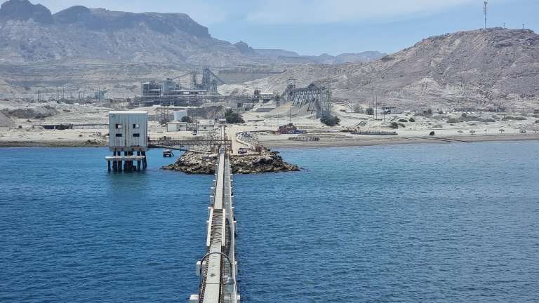 Antecedentes e historia – Grupo Fertinal